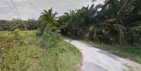 Ijok, Kuala Selangor - Property Info, Photos & Statistics | iRumah